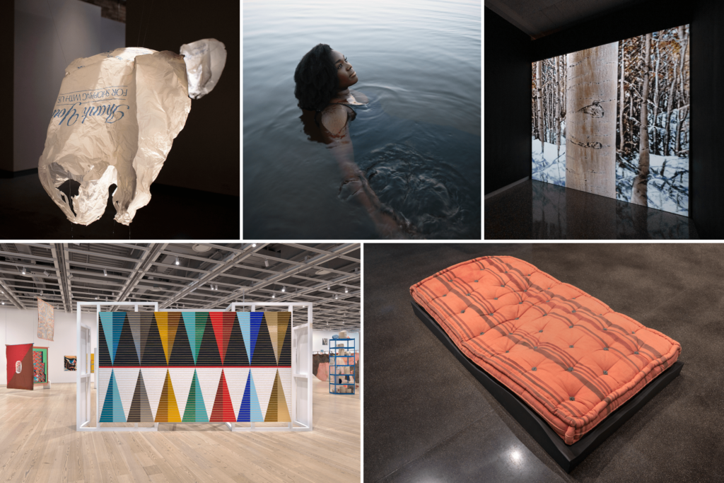 McKnight Visual Artist Fellows Discussion Series at the Minneapolis ...