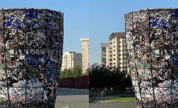 Magdalena Morey: Exploring the Interconnected World Through Art ...